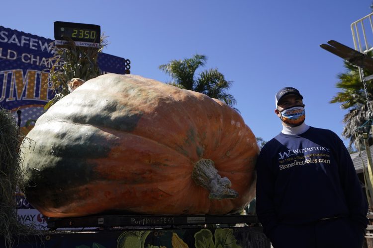 2,350-pounder wins pumpkin contest | News, Sports, Jobs - Williamsport ...
